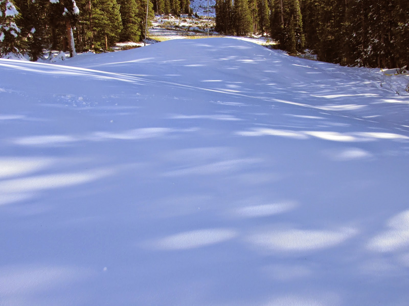 Al's Blog: Man, There's A Lot Of Snow